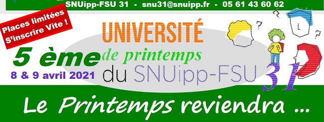 SNUipp-FSU 31